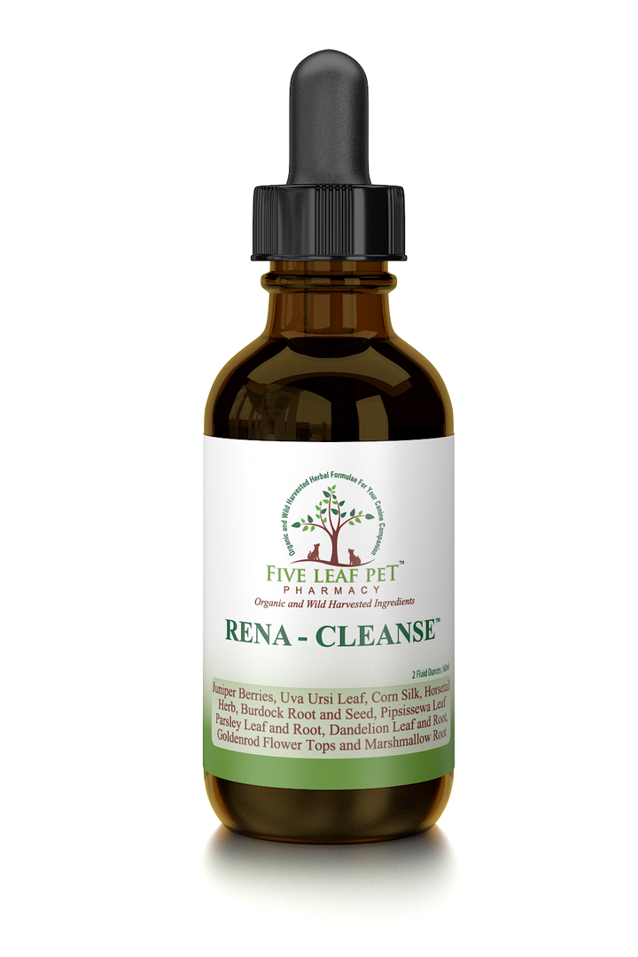 Rena-Cleanse Solo - 2 oz