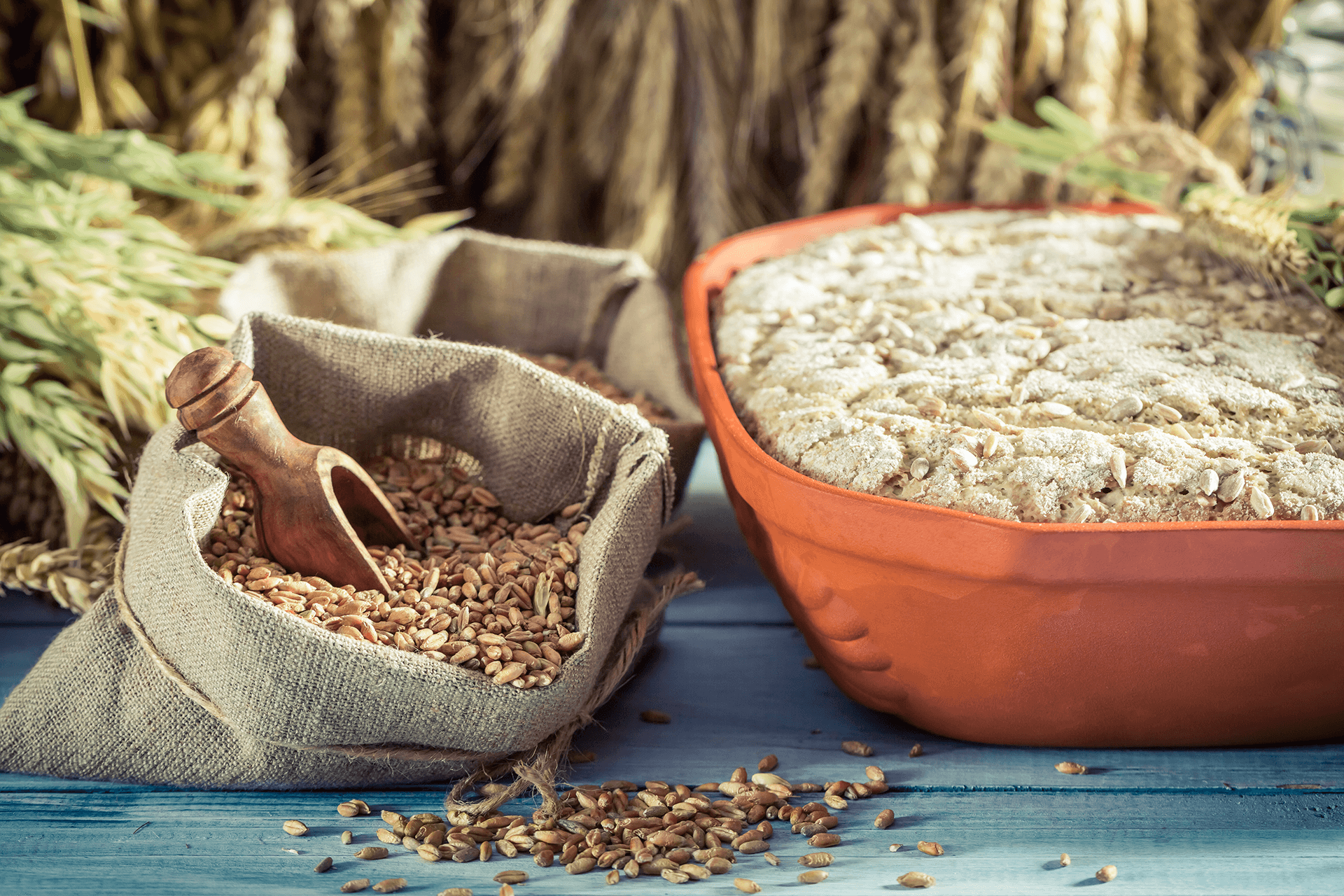 Know Your Oats: A Comprehensive Guide