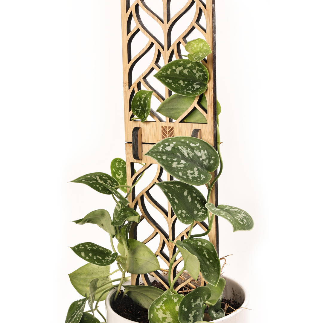 The Heliophile - Modular Art Trellis for Plants