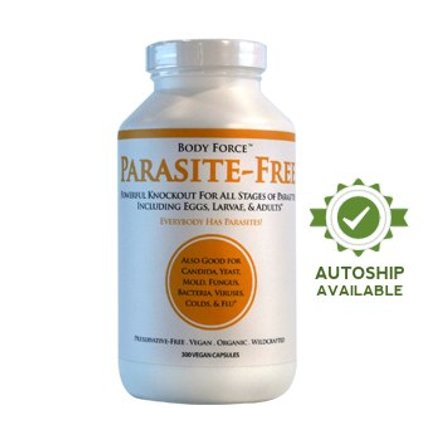 Organic Plant Based Protein Powder | Organic Protein Supplement