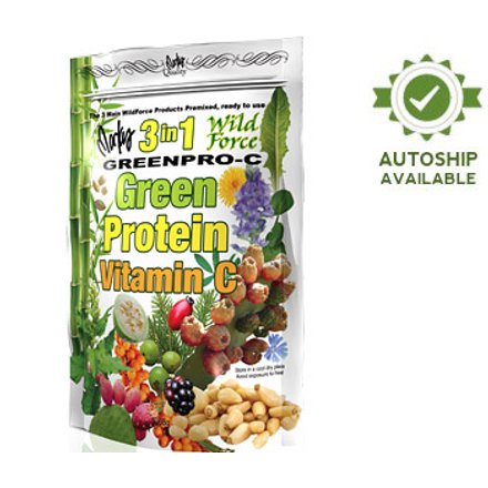 Organic Plant Based Protein Powder | Organic Protein Supplement