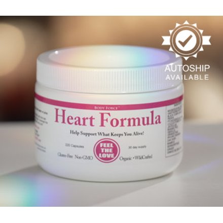 Organic Plant Based Protein Powder | Organic Protein Supplement