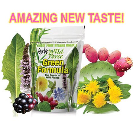 Organic Plant Based Protein Powder | Organic Protein Supplement