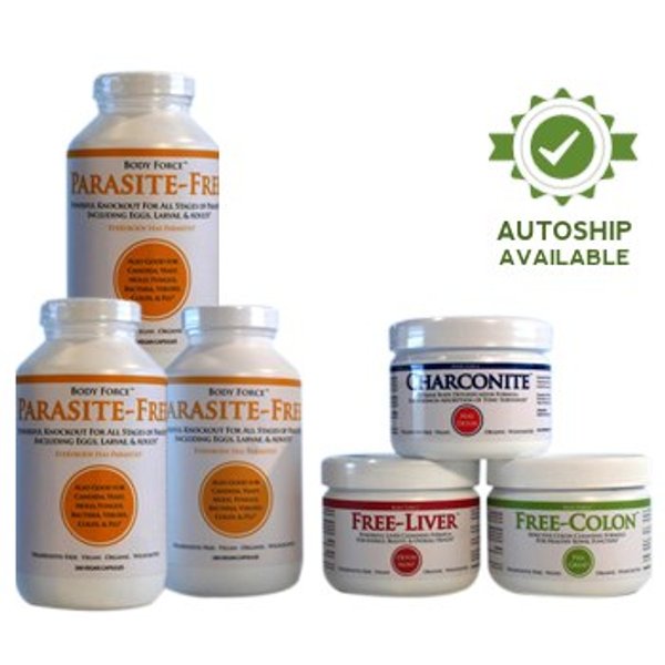 Organic Plant Based Protein Powder | Organic Protein Supplement