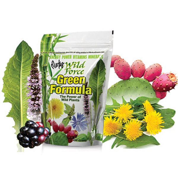 Organic Plant Based Protein Powder | Organic Protein Supplement