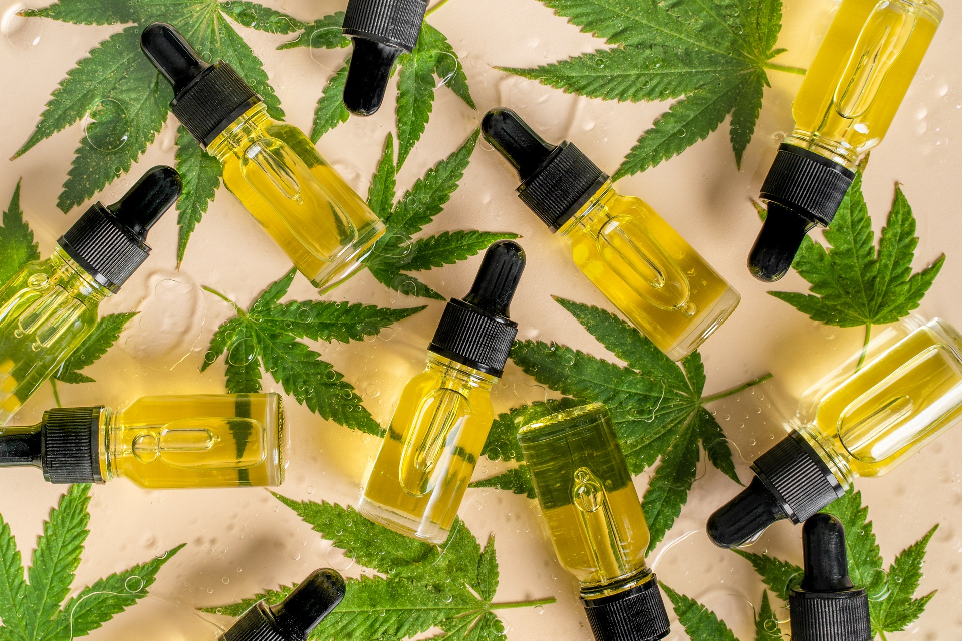 How to Take CBD Oil for Maximum Impact: Top Methods to Use!