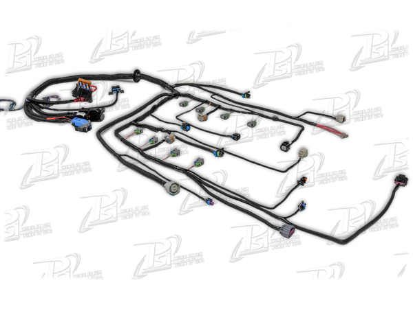 PSI Standalone Wiring Harness | LS Wiring | LS Wiring Harness | ECM ...