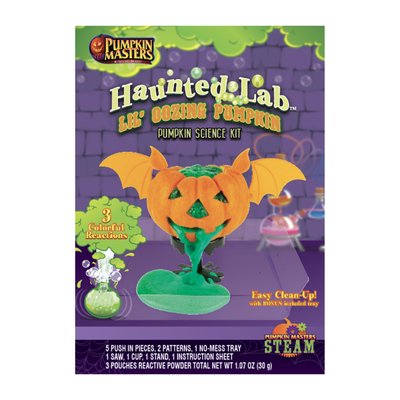 Wholesale Halloween Christmas Pumpkin Masters